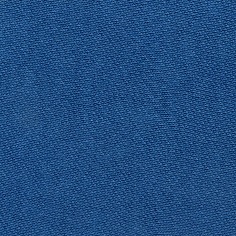 Sunfix Blue SBR 150%（サンフィクス ブルー SBR 150%）【青・反応染料 - Reactive Blue 221 】染 ...